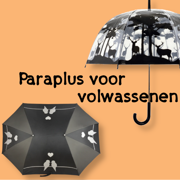 Paraplus - Volwassenen – Ludok